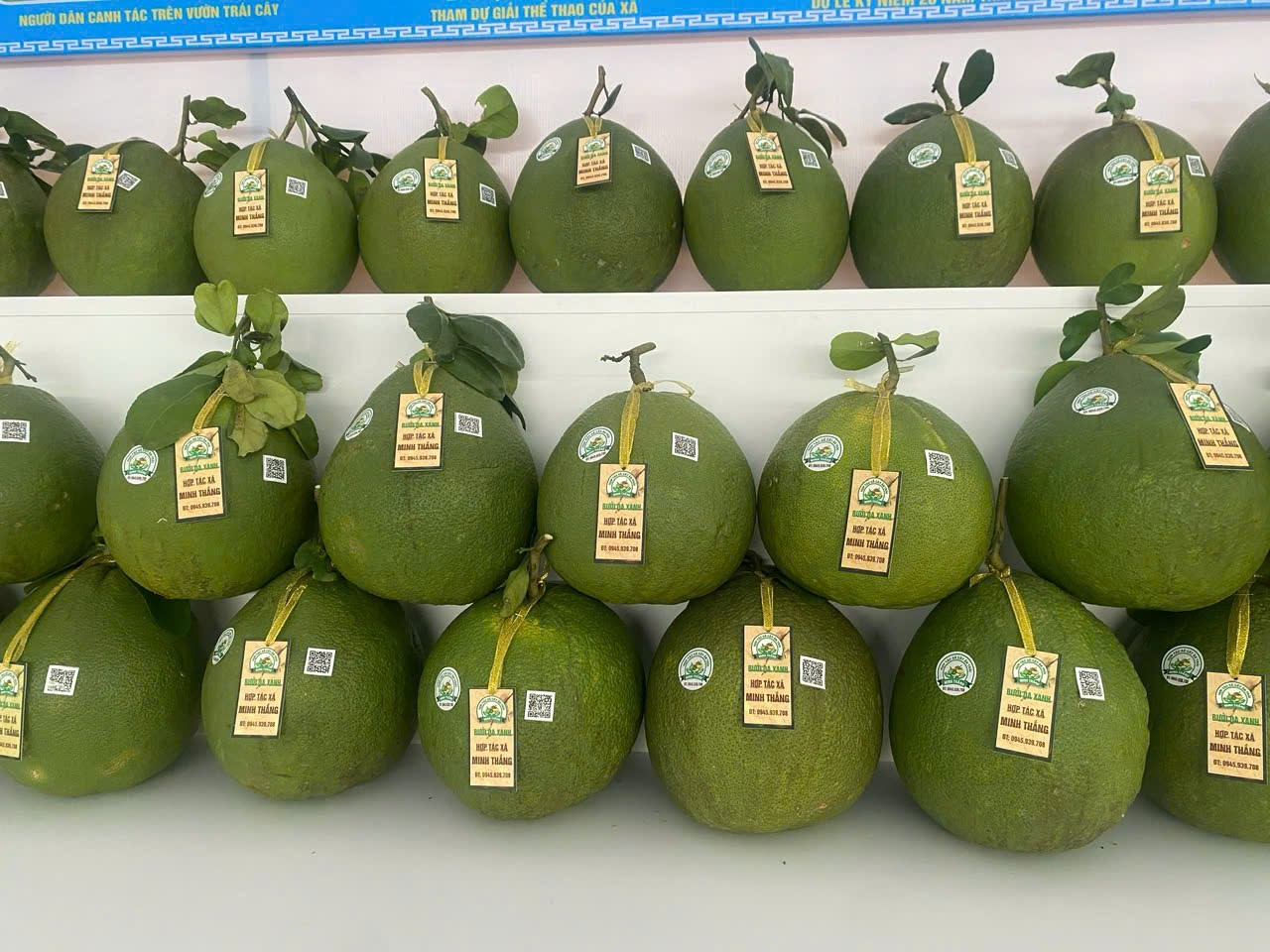 Xã Nha Bích đẩy mạnh phát triển cây ăn quả, cây công nghiệp chủ lực ...